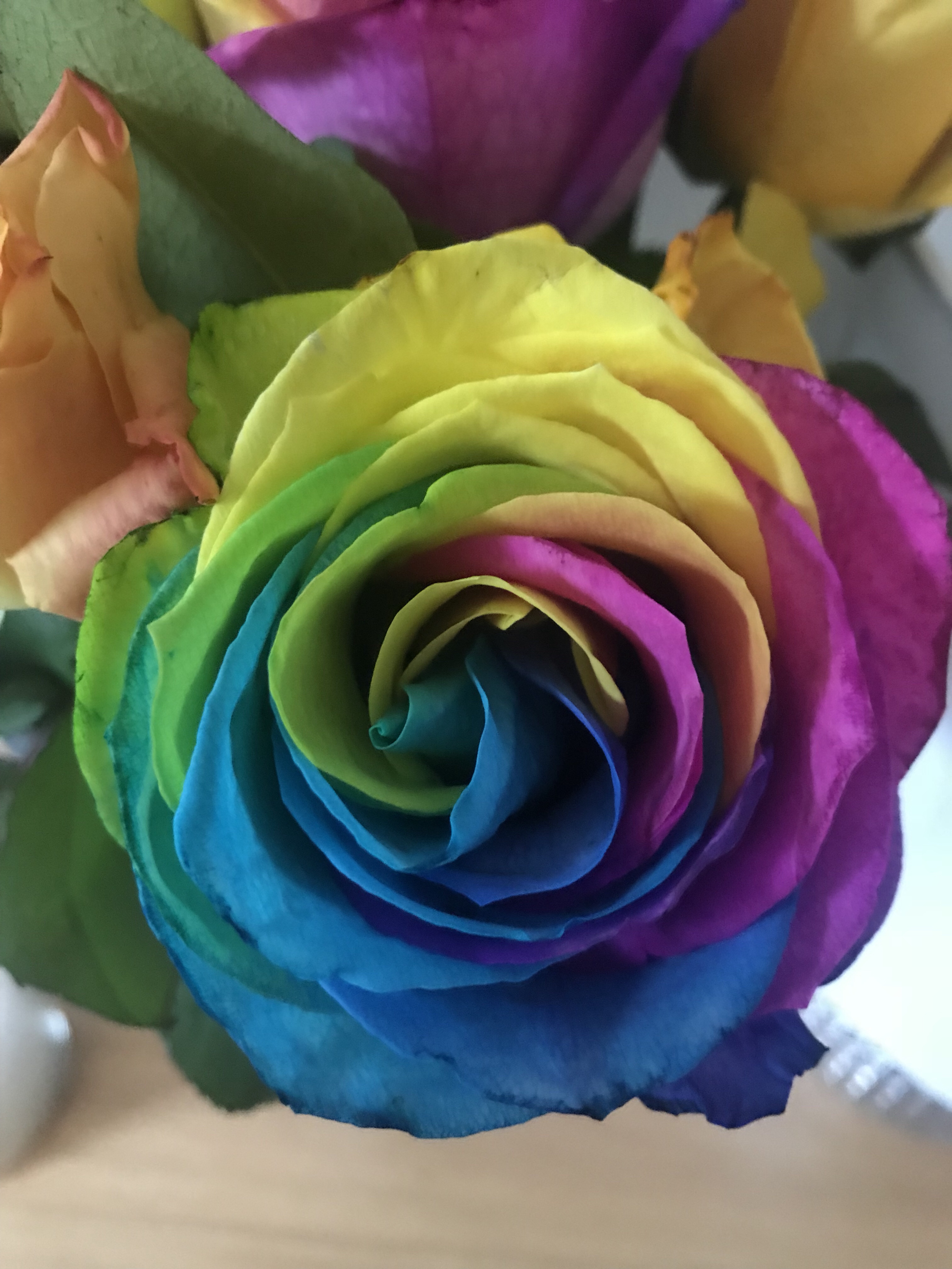 Sunshine & Rain Makes A Rainbow … (part 2 weeks 6-10) – Crazy Fertility ...